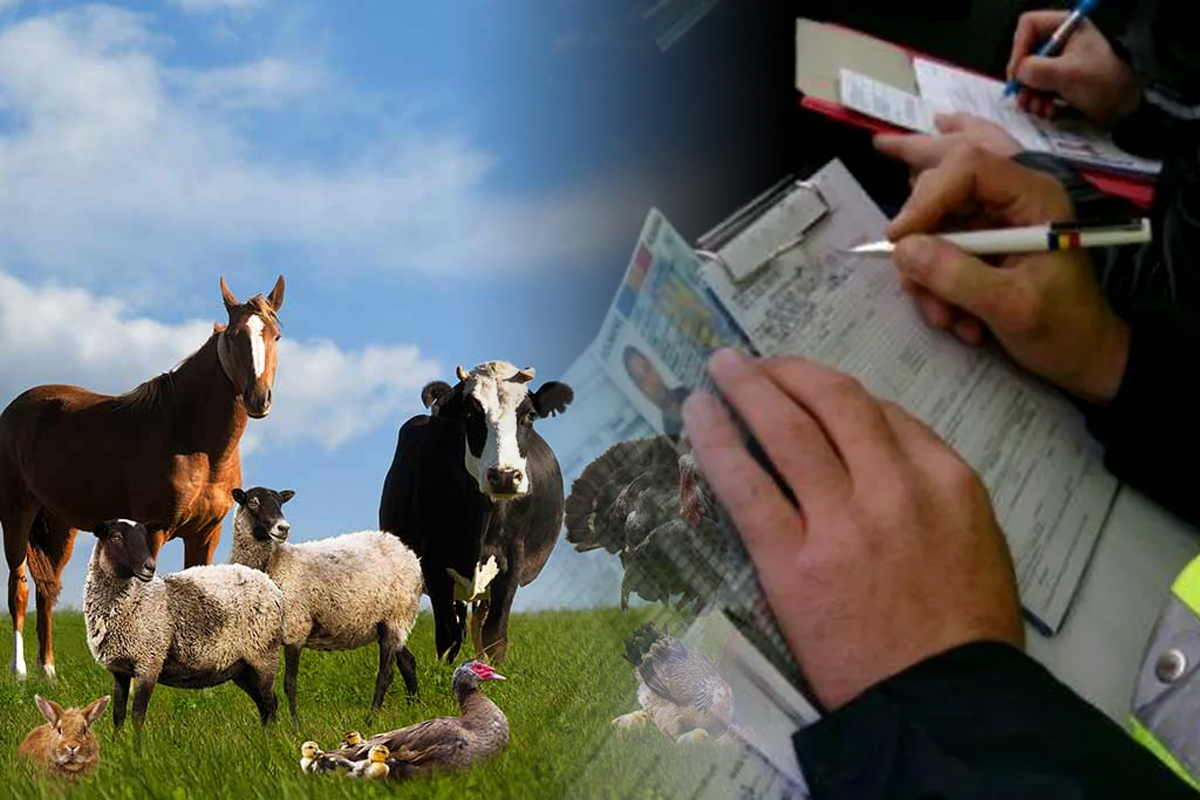 Animalele pe care românii nu vor mai putea să le crească în curte ... Animalele pe care românii nu vor mai putea să le crească în curte ...